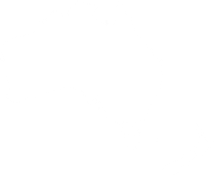 Contact - ARA Security Solutions